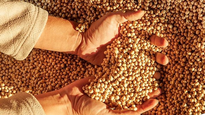 Azelis announces the further expansion of its partnership with Soy ...