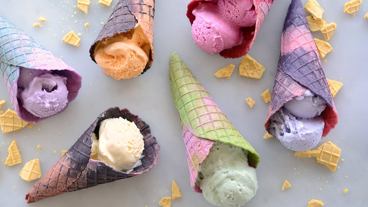 GNT to showcase the potential of plant-based EXBERRY colors at FBIF ...