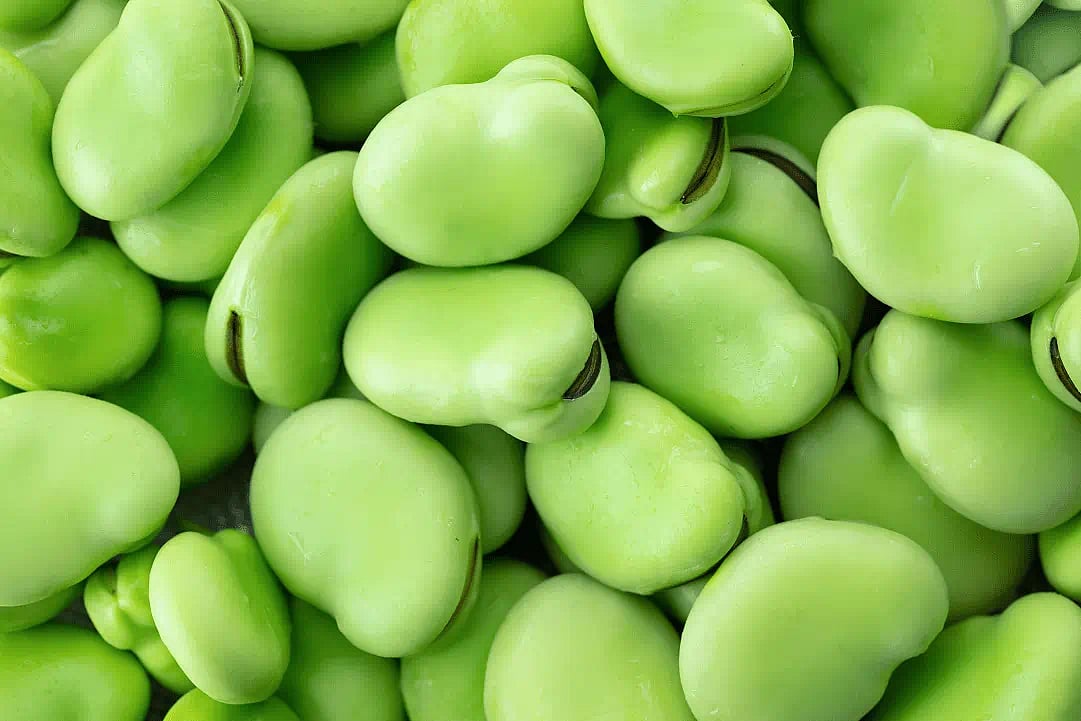 Bunge expands portfolio with new pea and faba protein concentrates