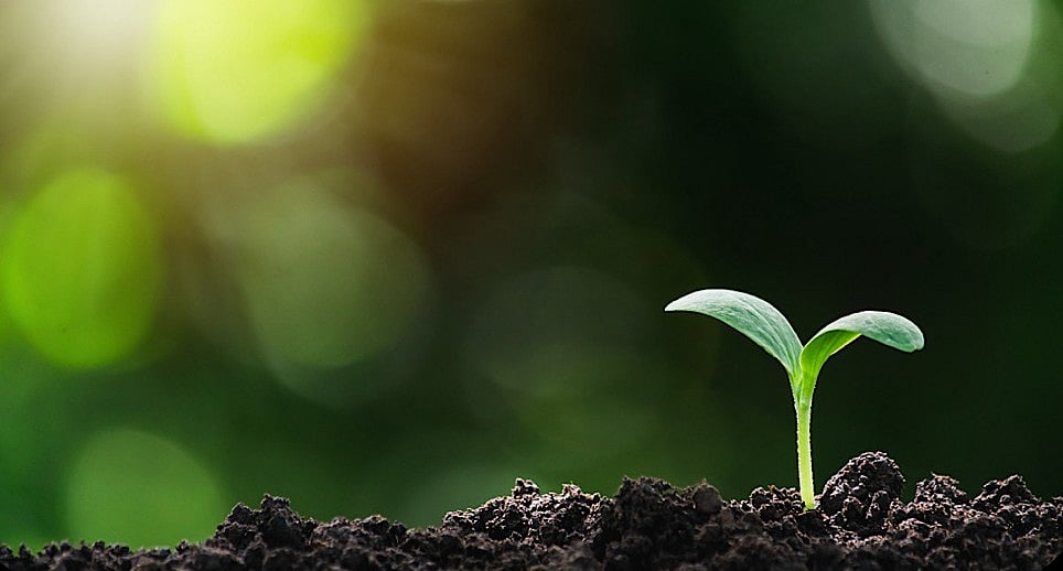 CP Kelco announces intent to combine with Tate & Lyle through sale by J ...