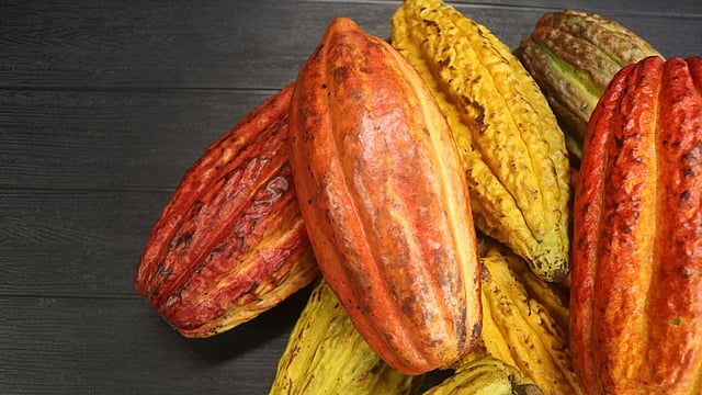 Mars aims to achieve a segregated global cocoa supply chain by 2030