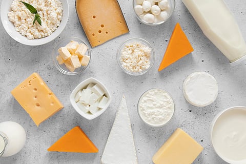 52nd Dairy Industry Conference & Exhibition 2026 to unite the entire ...