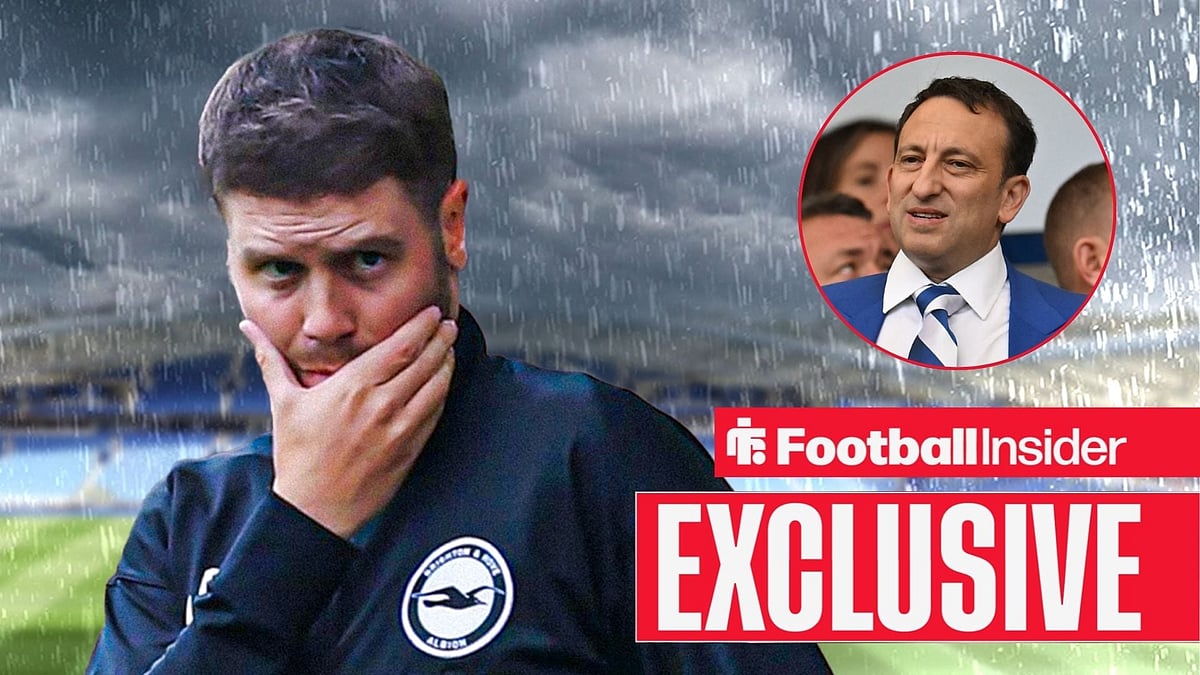 Brighton's 2030 vision impact on transfer plans explained by finance ...