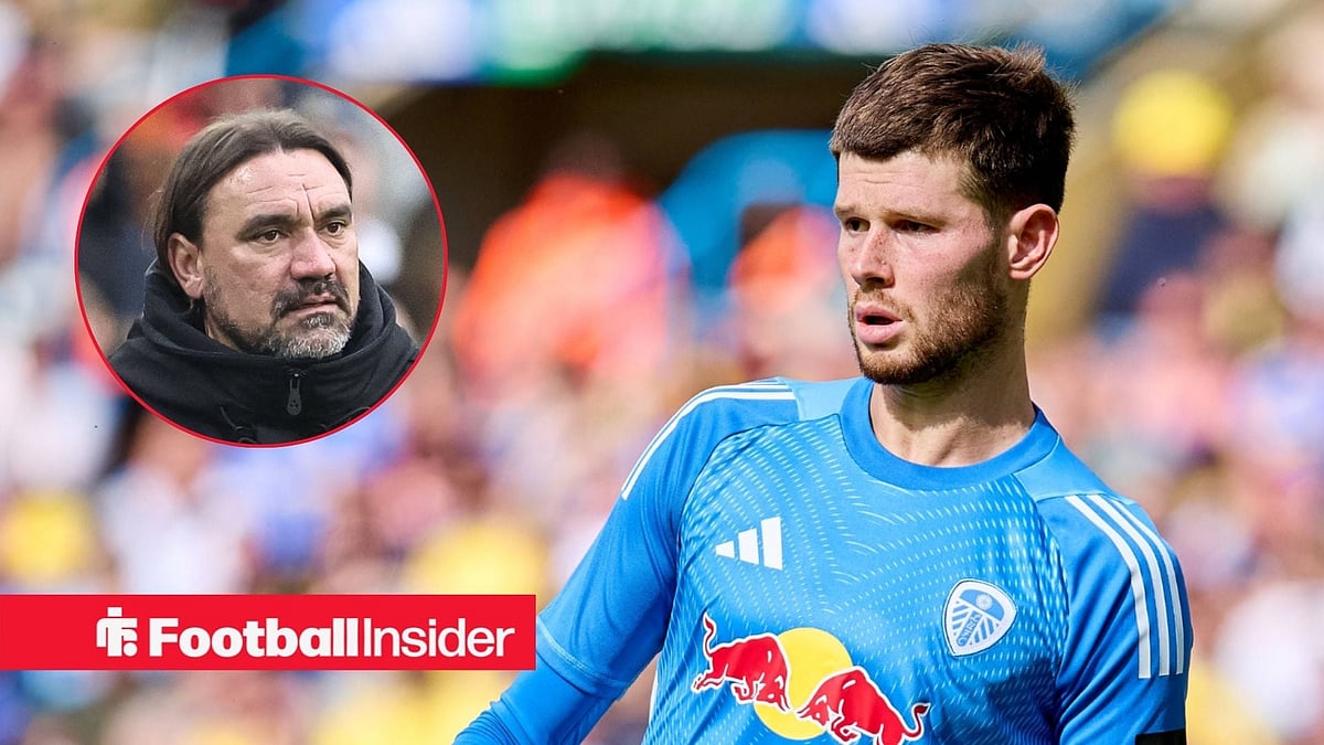 Illan Meslier could join two Premier League clubs both higher placed ...