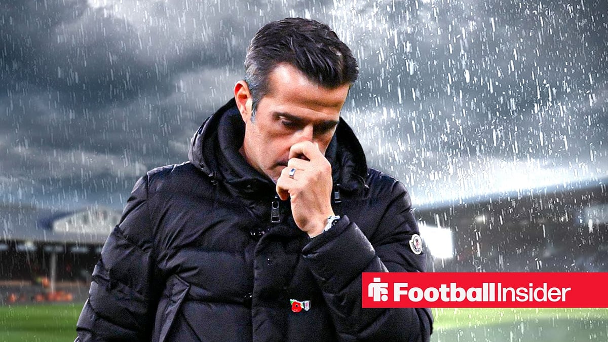 The games Sasa Lukic could miss as Fulham receive crushing injury news