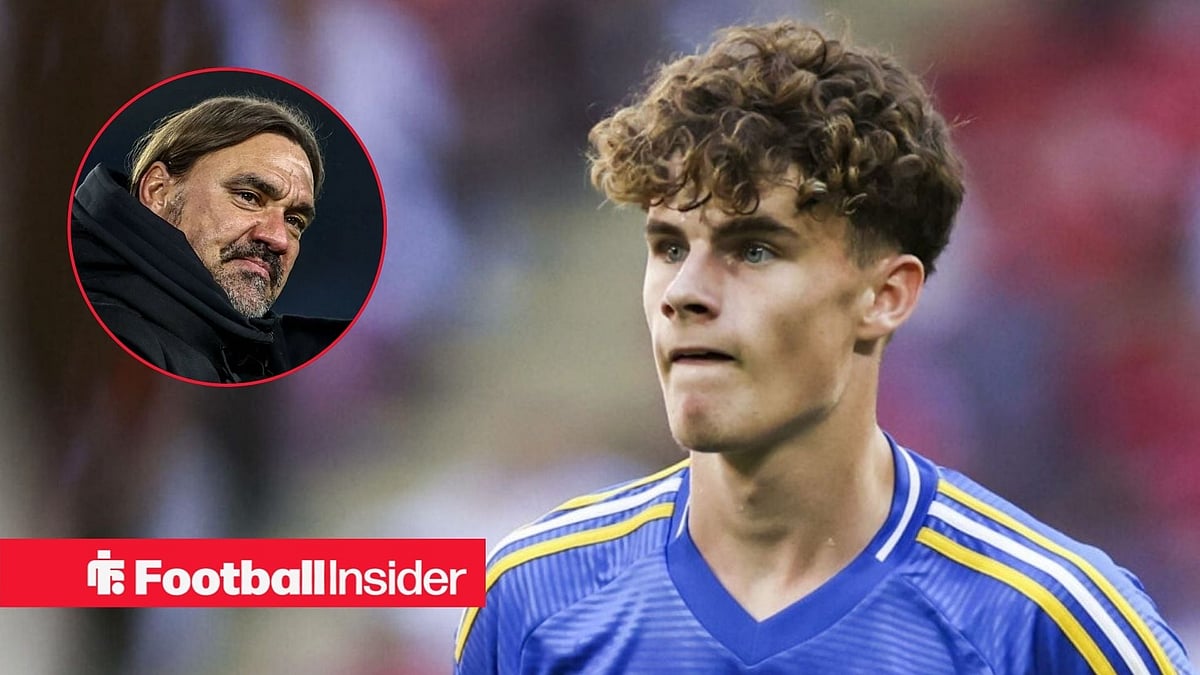 Leeds will be delighted with Harry Gray after what has been said about ...