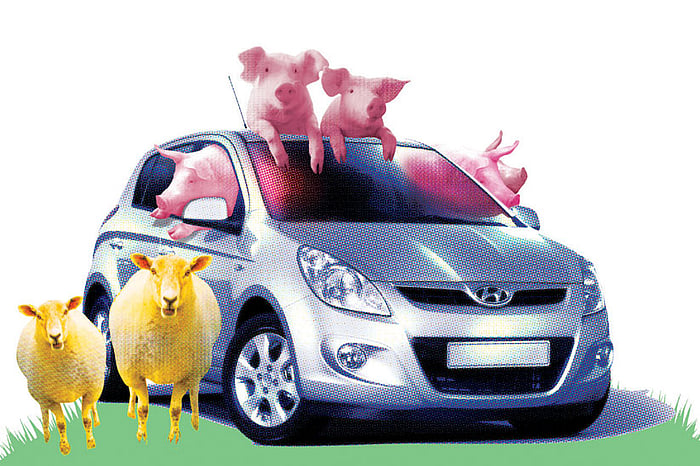 Stock options for Hyundai | Fortune India
