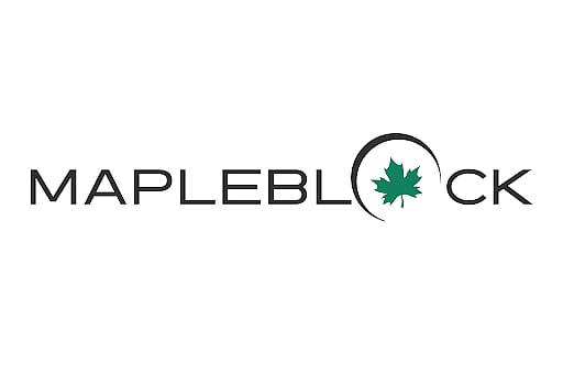 Mapleblock Capital: Making Waves in Crypto | Fortune India