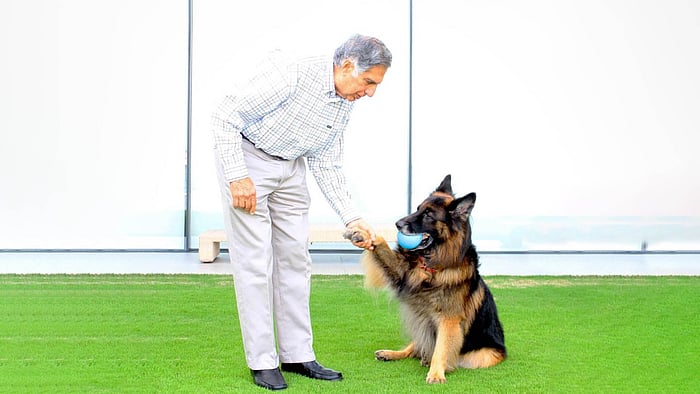 Ratan Tata & his 'personal' side: Love for dogs, cars, connect with ...