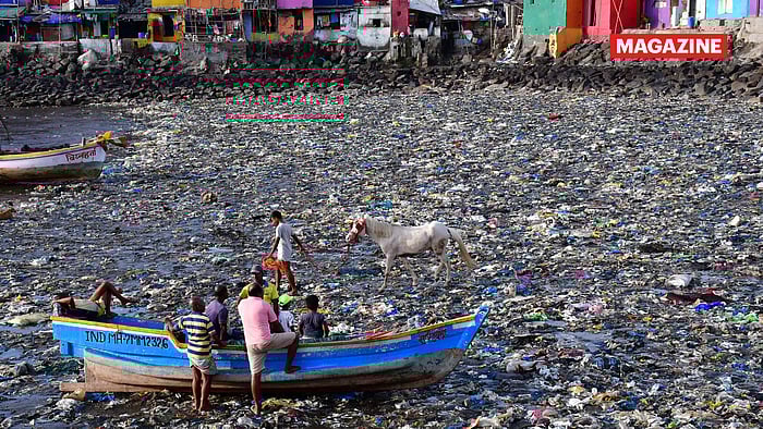 Cop29 Deal Disappointment Fortune India