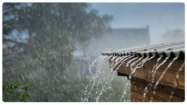 राज्यात ९८ टक्के पाऊस पडणार! ज्येष्ठ कृषी हवामान तज्ज्ञ डॉ. रामचंद्र ...