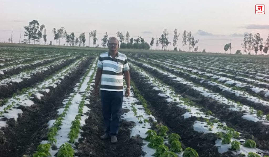 साताऱ्यातील कण्हेर धरणावरील हेल्पर ते केनियातील कृषी सम्राट; कष्ट आणि ...