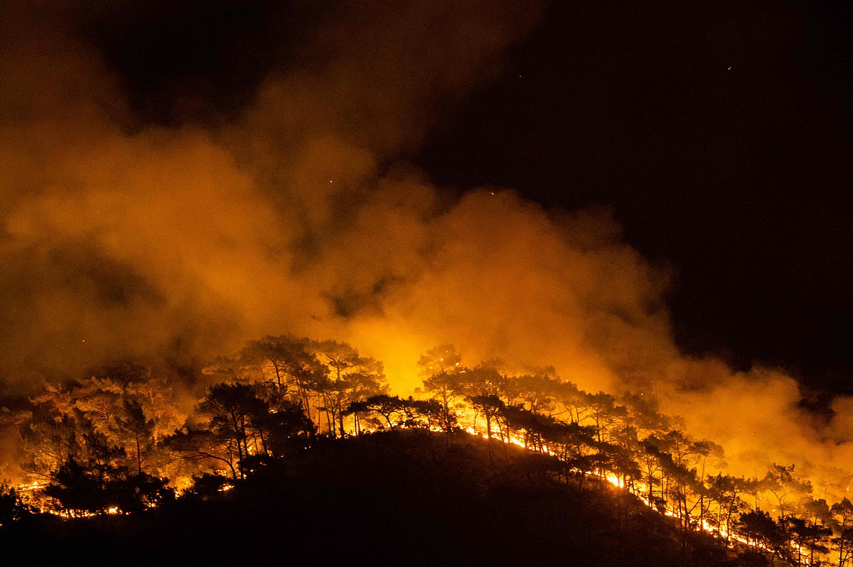 Jammu & Kashmir: Forest fire triggers several landmine explosions along ...