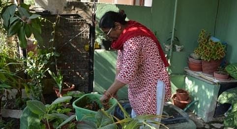 Indore: Impressed by city's Zero Waste Ward concept,MoHUA adds ...