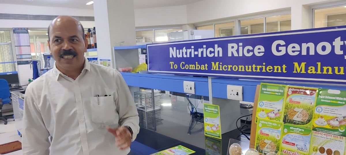 Chhattisgarh to launch immune booster fortified zinc rice for mass ...