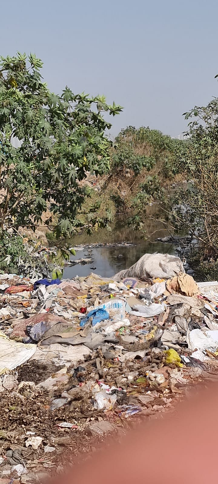 Thane: Activists raise concern over polluted Desai creek near Mumbra ...
