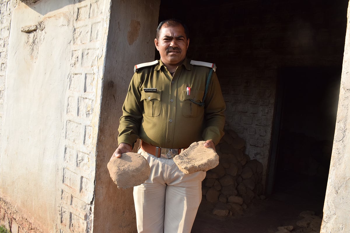 Madhya Pradesh: African Cheetahs to be fed through traditional Boma ...