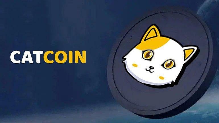 Catcoin.com introduced CatCoin cryptocurrency to become next Shiba Inu