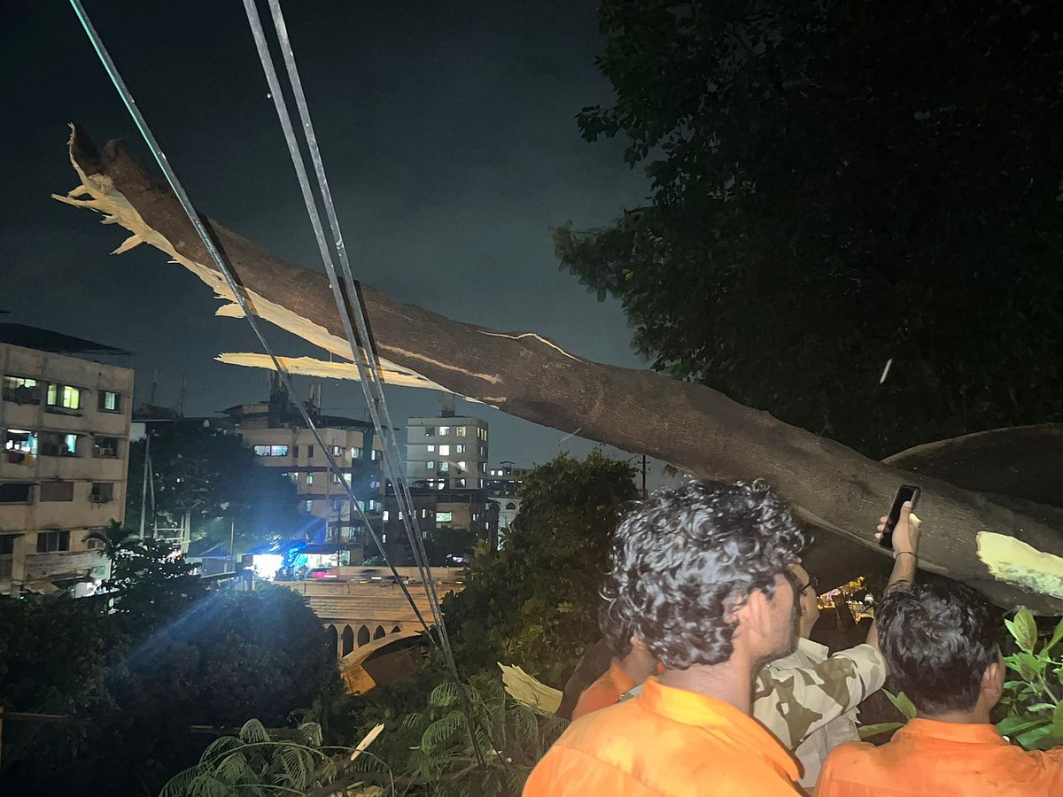Mumbai: Alertness of Central Railway averts possible mishap after tree ...