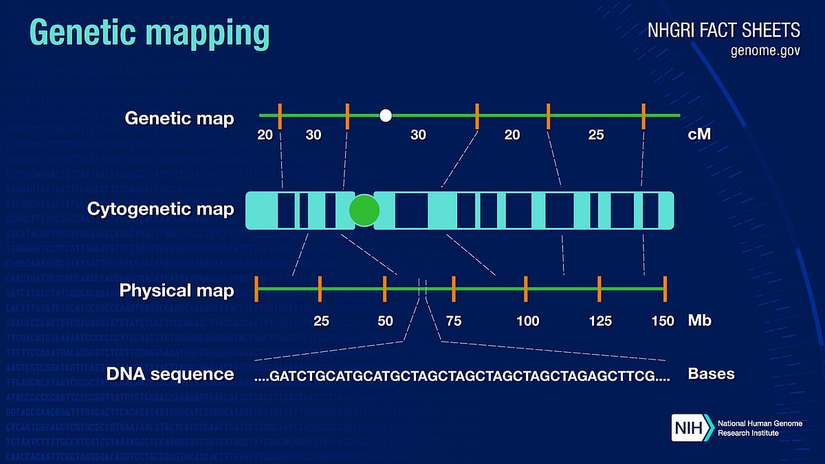 Gene mapping in healthcare: What is that? Dr Ruchika Irene Dillu explains