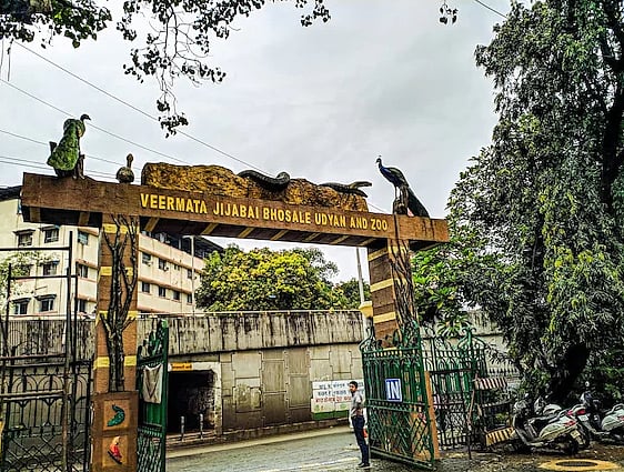 Mumbai: Footfalls double, keep zoo cash registers ringing merrily