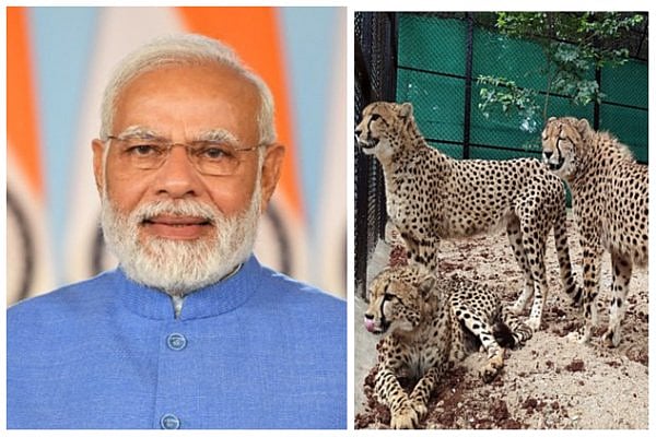 'No meaningful efforts were made for decades': PM Modi terms extinction ...