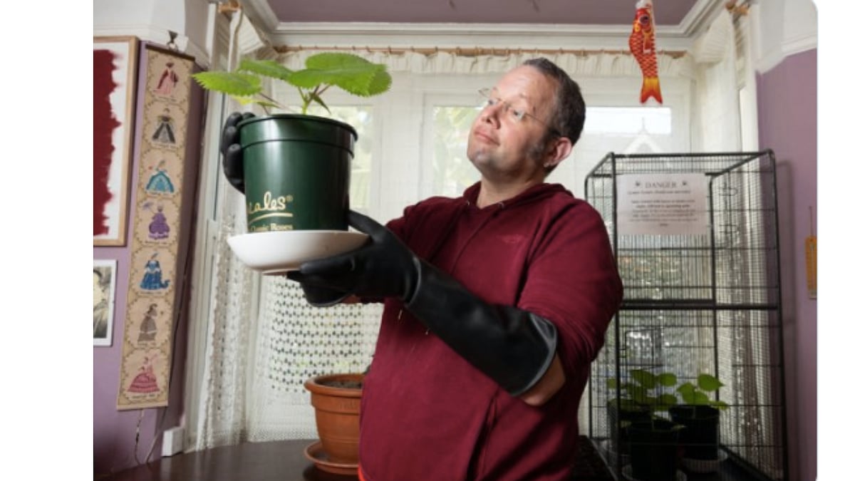 British botanist Daniel Emlyn-Jones grows ‘World’s most dangerous plant ...