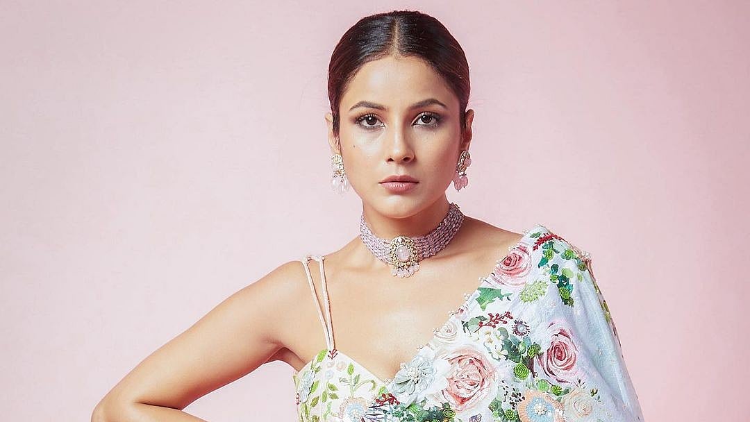 WATCH: Shehnaaz Gill channels her inner Punjabi, grooves to Ghani ...