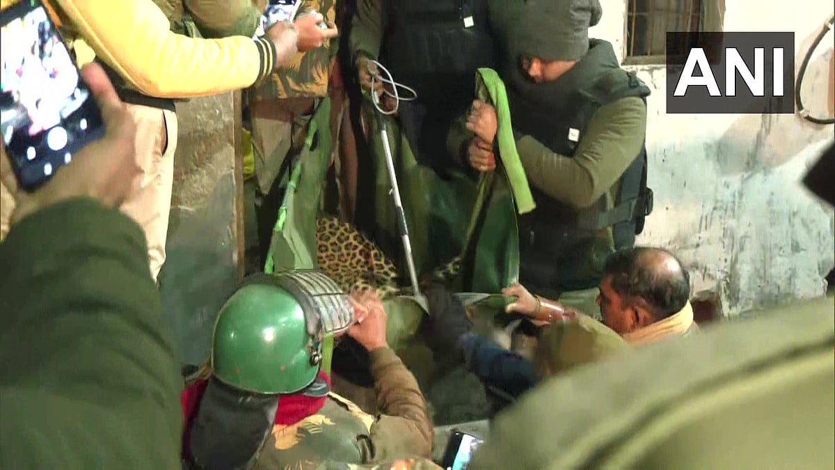 UP: Woman escapes death narrowly as leopard enters her house, forest ...