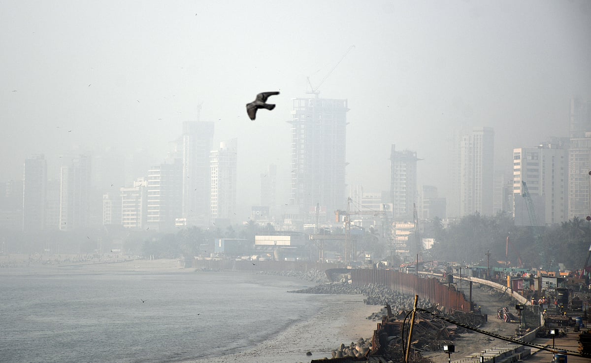 Like Mumbai's Development Plan, chart an Ecological Plan urgently