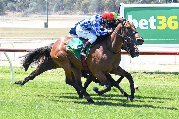 Indian Derby: King’s Ransom is set to accomplish Jacqueline’s feat