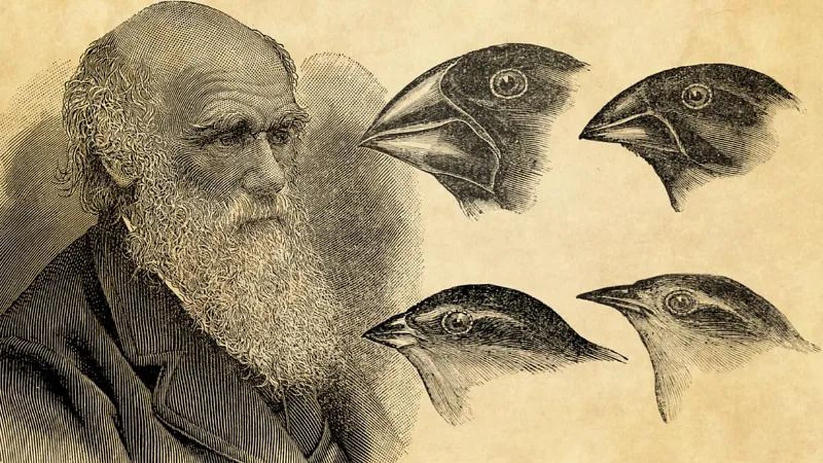 Darwin Day: Know more about the father of natural selection