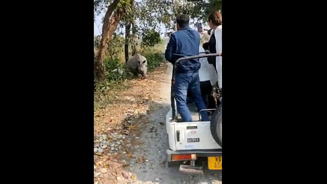 Watch: Angry Rhinos charge at safari jeep causing it to flip in Bengal ...