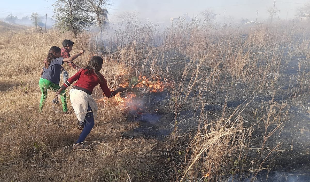 Madhya Pradesh: Kids show exemplary courage to douse forest fire in ...