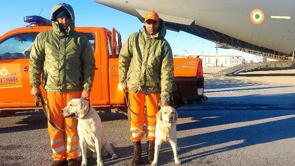 Meet Julie, Romio, Honey, Rambo; India's pawsome rescue team for quake ...