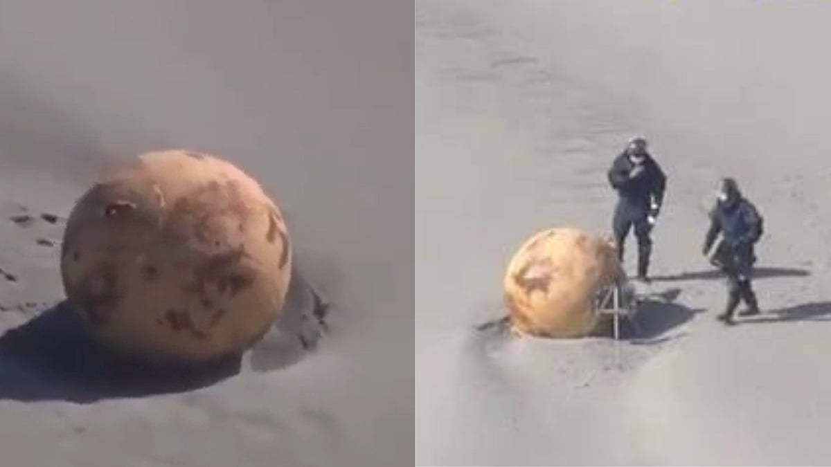 WATCH: 'Giant Sphere' found on the coast of Japan