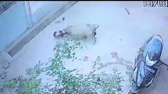 Maharashtra: 10-year-old boy critical after getting attacked by pig in ...