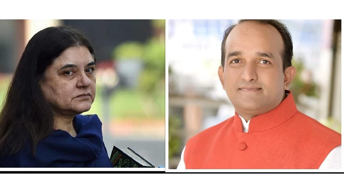Maneka Gandhi dials up BMC chairman over campaign against stray dogs in ...