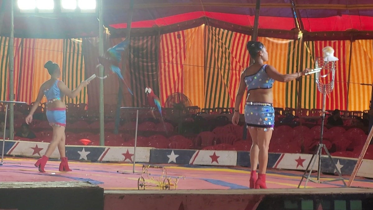 Kerala Police file FIR against Great Bombay Circus over cruelty to performing birds