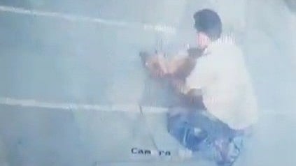 Mira-Bhayandar Shocker! Dog strangulated to death by 3 men; attack ...