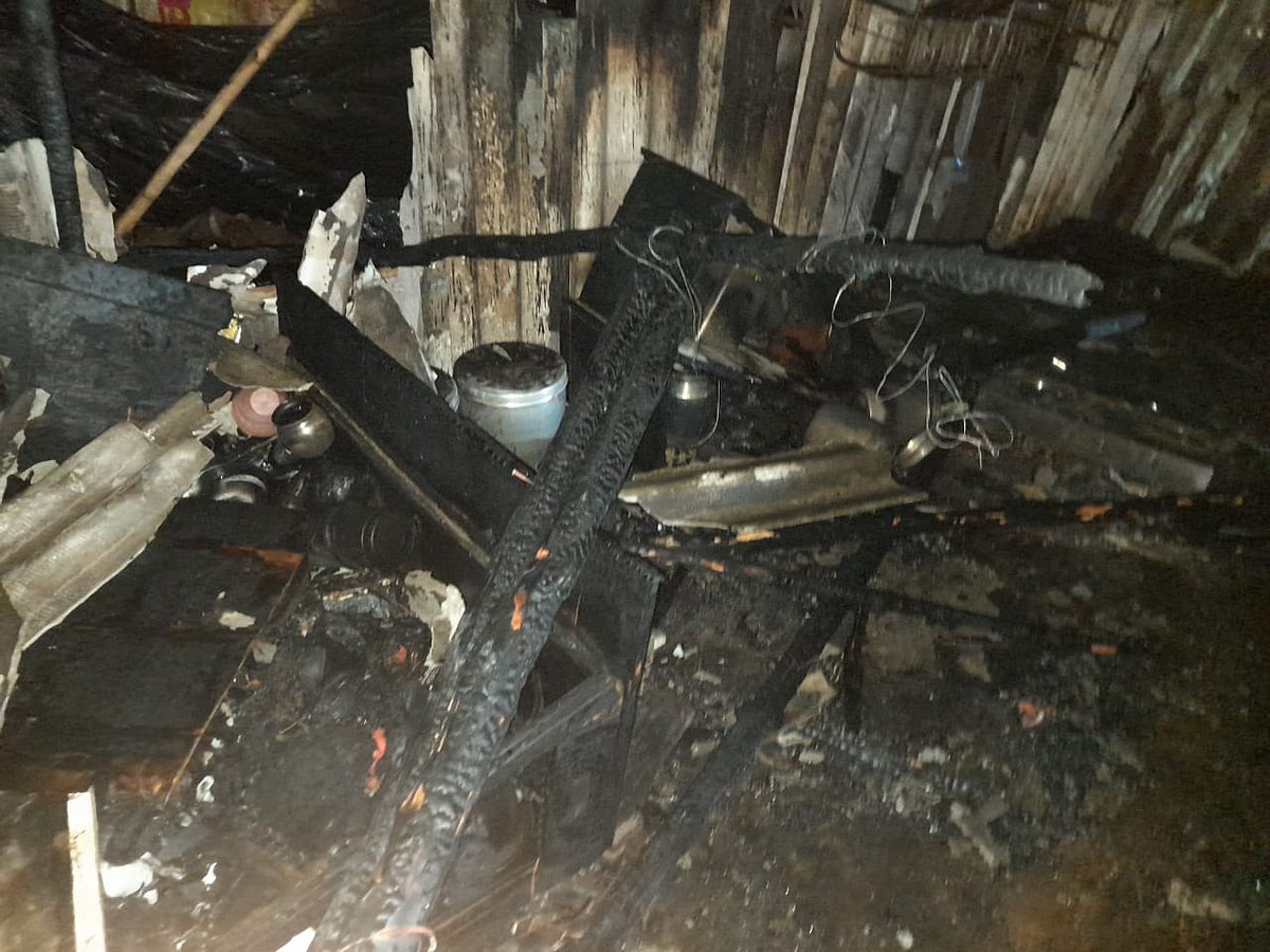 Mumbai: 5 stray dogs die in Malad's Appa Pada slum's fourth fire mishap ...