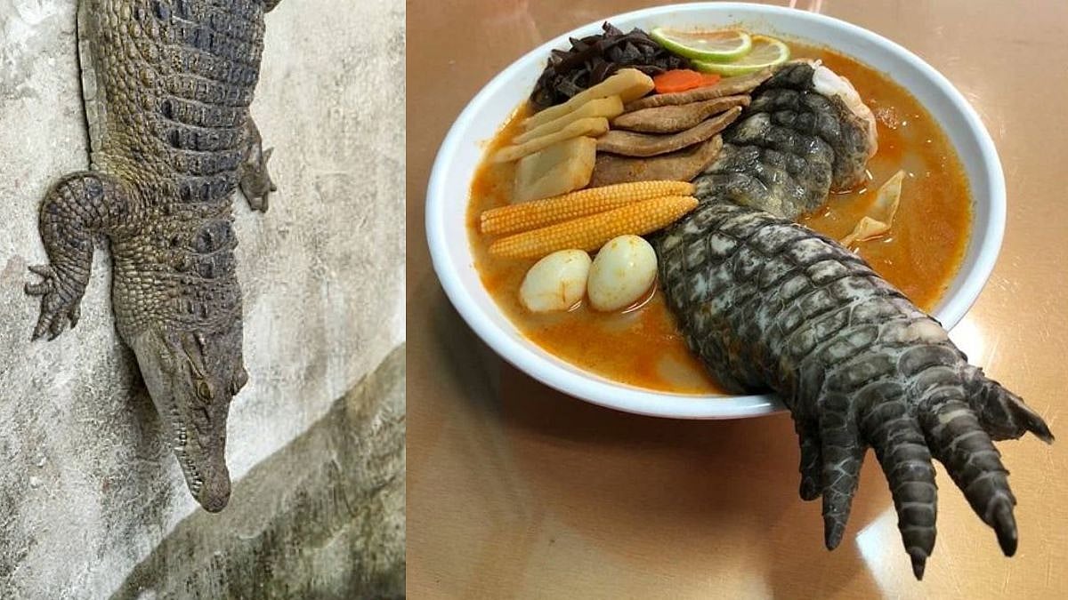 Godzilla Ramen: New Food Fad? Crocodile Leg Pops Out Of Dish At ...