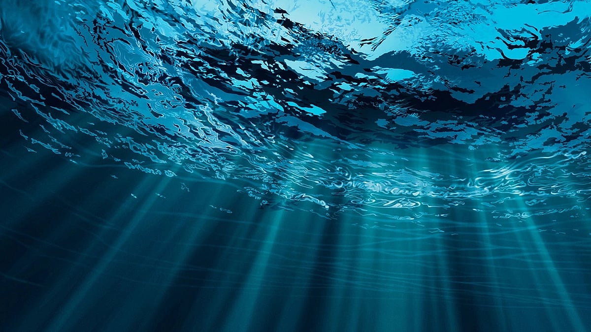 Guiding Light: Jala Pushpam – Life Below Water