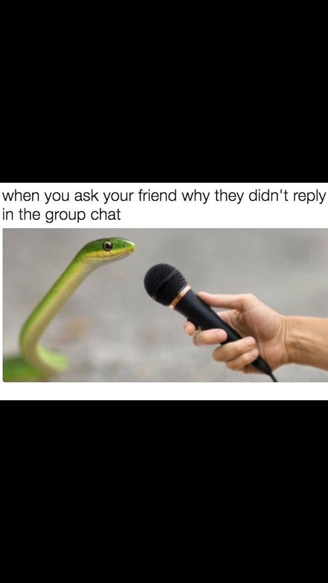 Snake Friends Memes 200+ Best Quotes On Fake Friends: Funny & Attitude