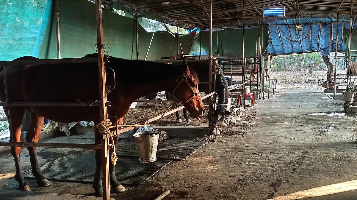 Mumbai Police Receives Green Light for Construction of Modern Stables ...
