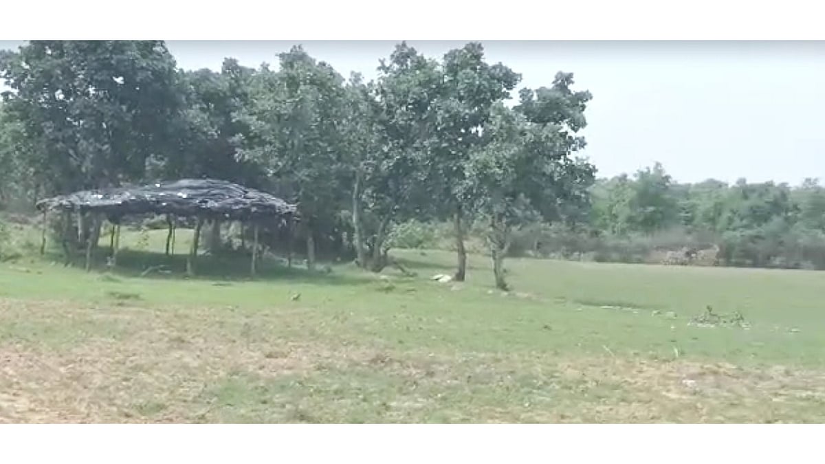 Madhya Pradesh: Mafias Turn Forest Cover Into Farmlands In Chhatarpur