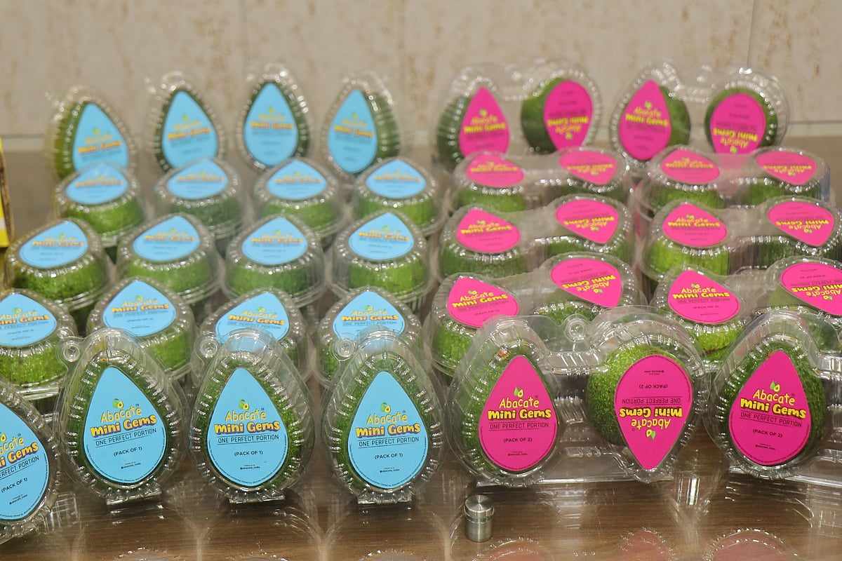 "Abacate: India's Avocado Trailblazers Introduces Mini Gems, Backed by ...