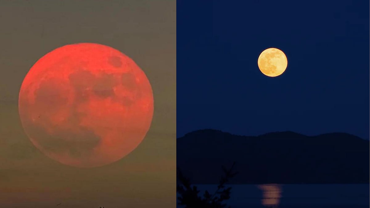 Supermoon 2023: All You Need To Know And Visuals From Different Parts ...