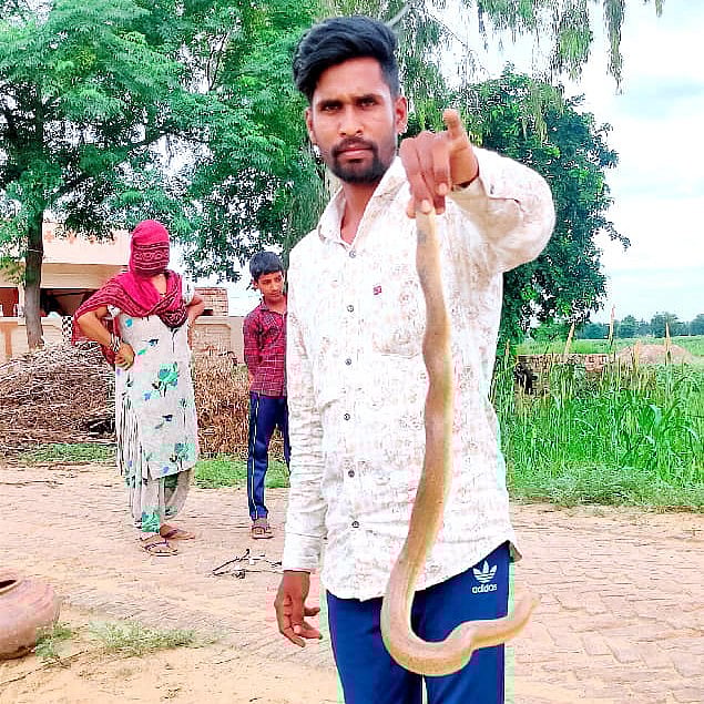 Pawan Jogpal, Snake Man From Haryana Rescued 5,600 Reptiles Even After ...