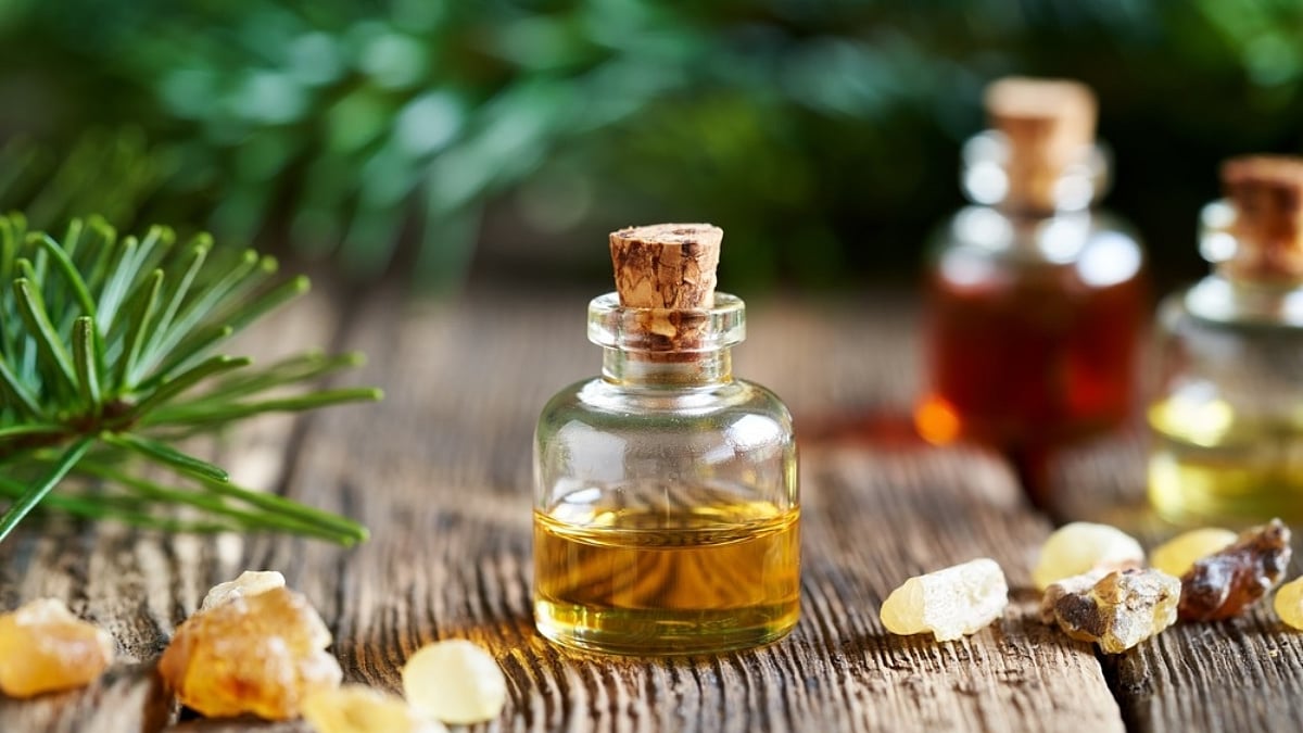 Frankincense, The 'Liquid Gold' That Angelina Jolie Swears By For ...